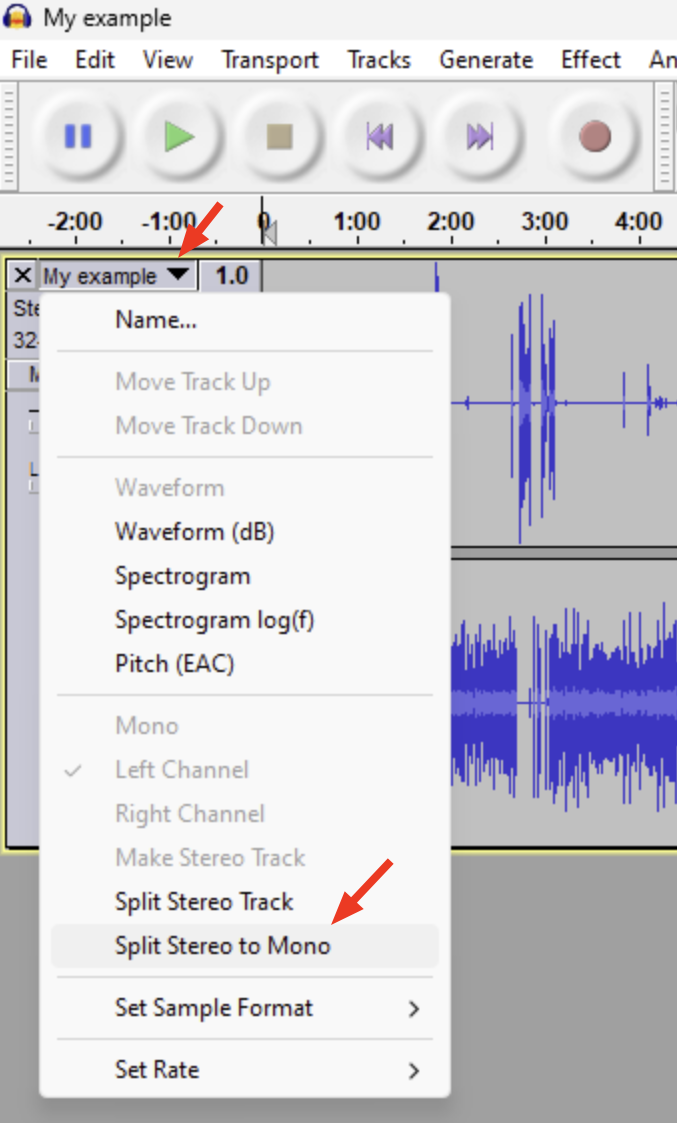 Dual-Channel Recording